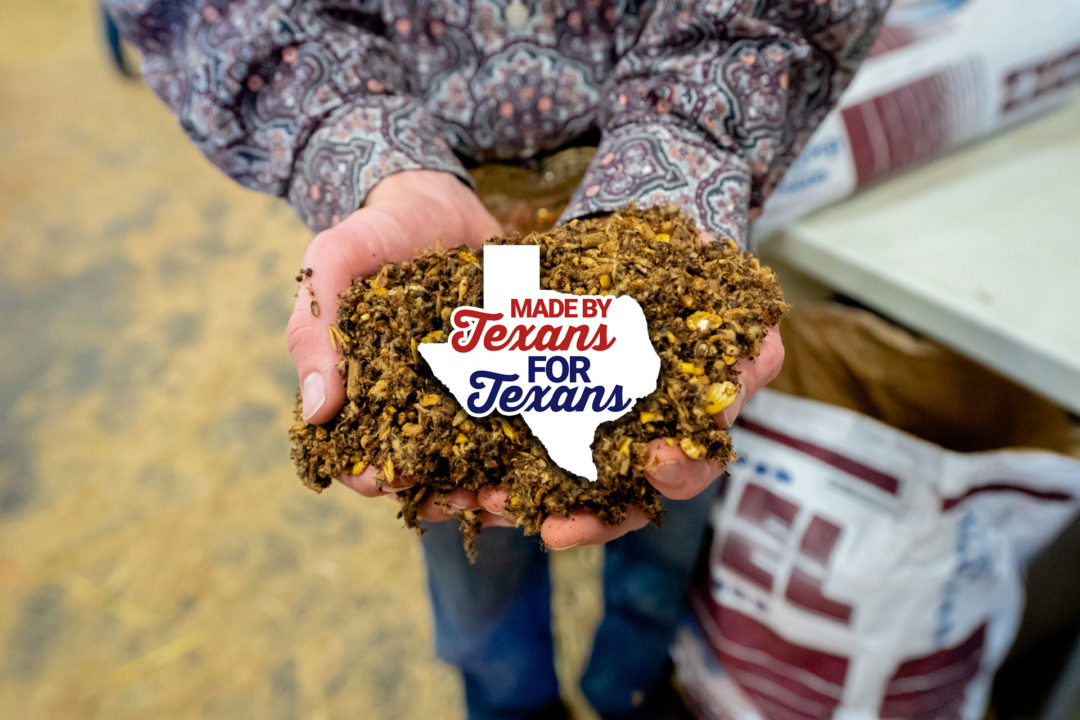Cattle Show Feed - Allied Feeds & Ful-O-Pep