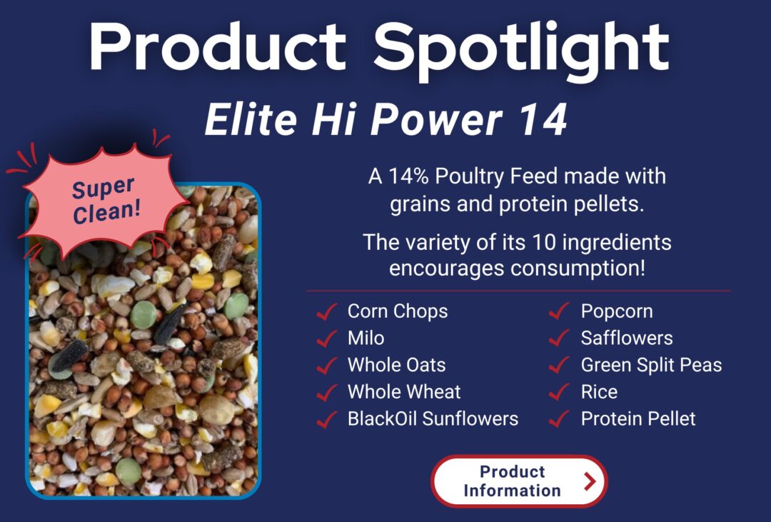 Home - Allied Feeds & Ful-O-Pep